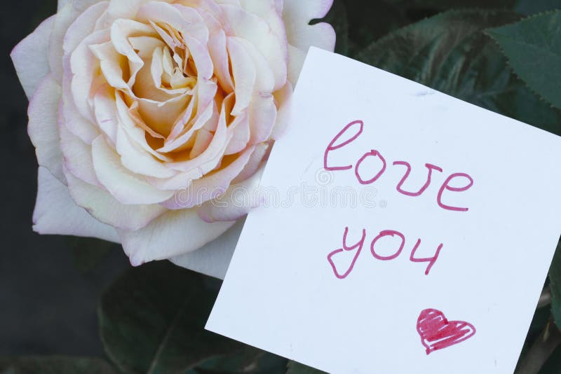 The Note with Text `love You` in Petunia Flowers Stock Image - Image of ...