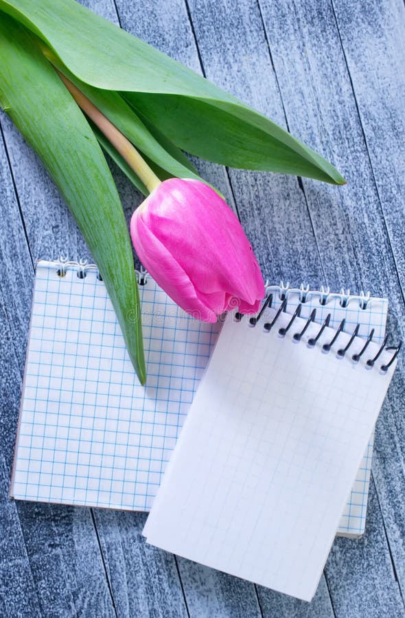 Note and tulips stock image. Image of bunch, green, multicolor - 39141895