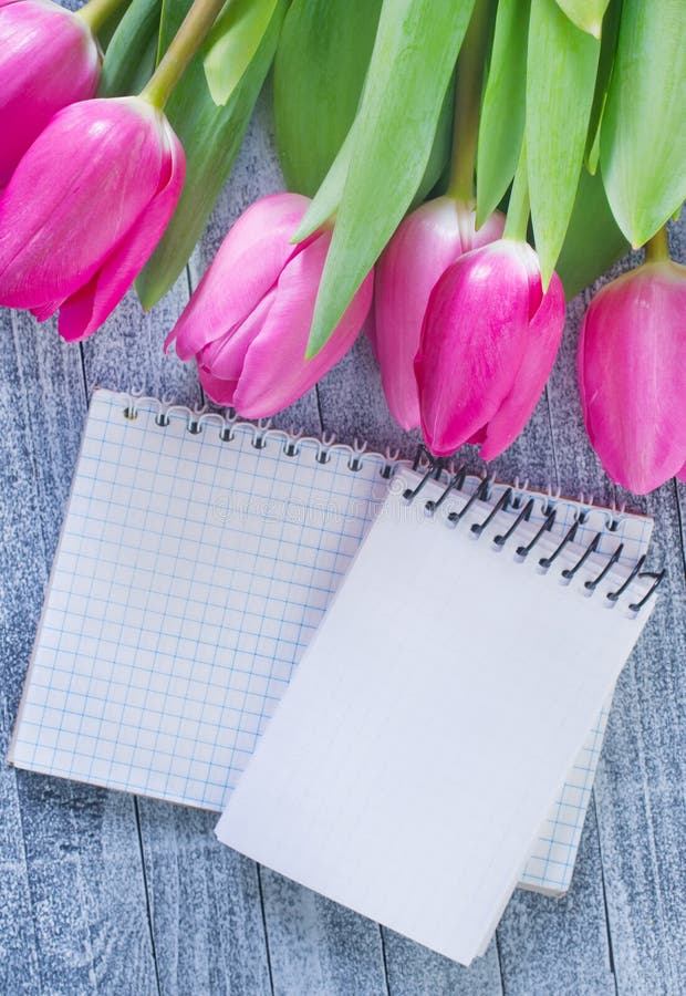 Note and tulips stock photo. Image of bunch, green, pink - 39141910