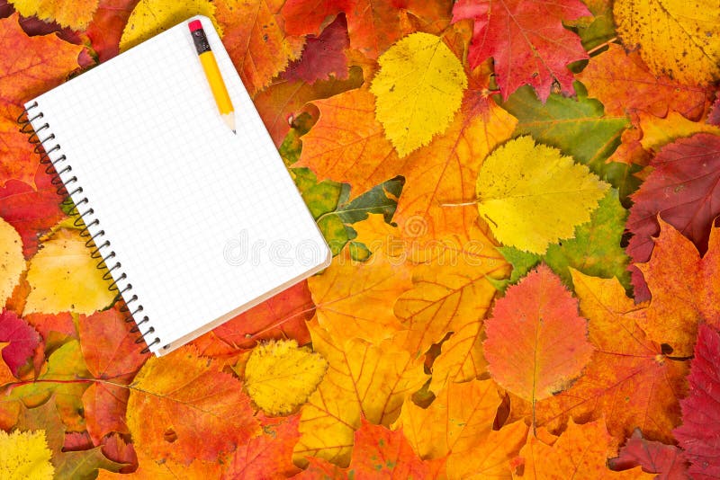 Notebook and Autumnal Leaves Stock Photo - Image of tree, natural: 34250654
