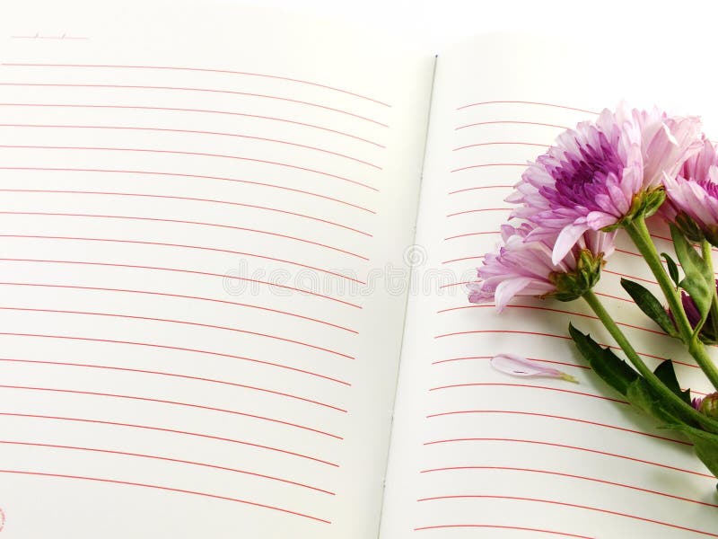 Notebook and Beautiful Chrysanthemums Pink Flowers Bouquet Stock Photo ...