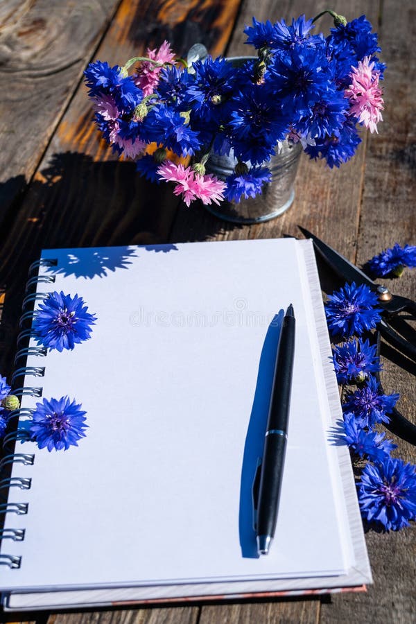 A Notebook and a Bouquet of Cornflowers. Flowers of Blue Wildflowers ...