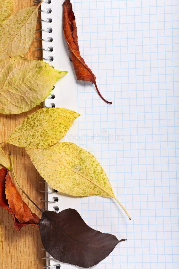 Notebook with Colored Pencils and Autumn Leaves. Stock Image - Image of ...