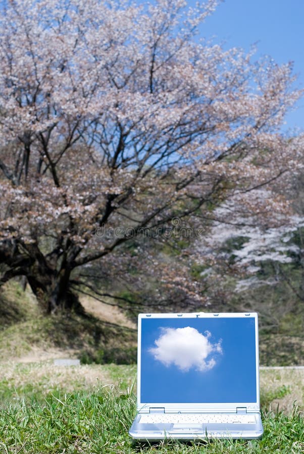Notebook Computer in Nature Stock Image - Image of outdoor, electronic ...