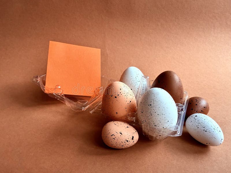 Notebook with Easter Eggs. Spiral Notepad on Spring Beige Background ...