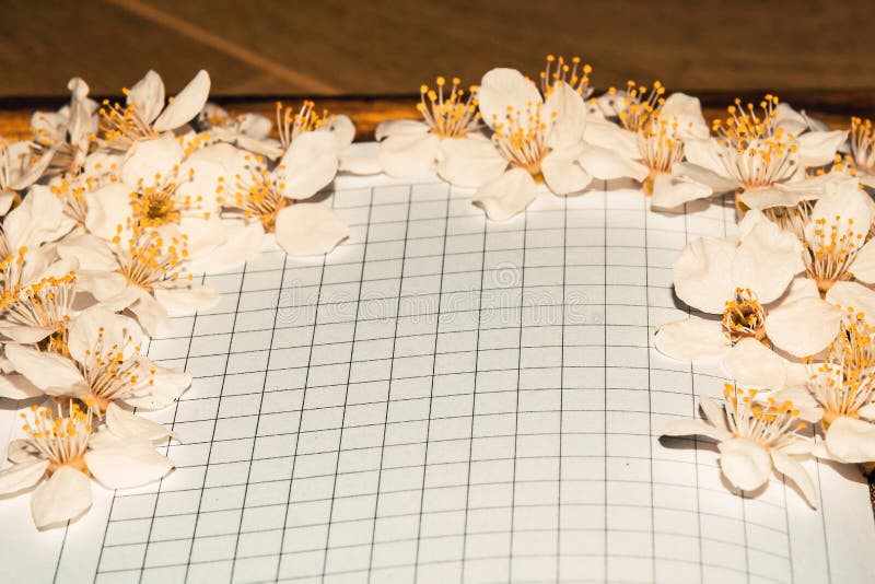 Notebook with Flowers. Romantic Poetry Stock Photo - Image of tree ...