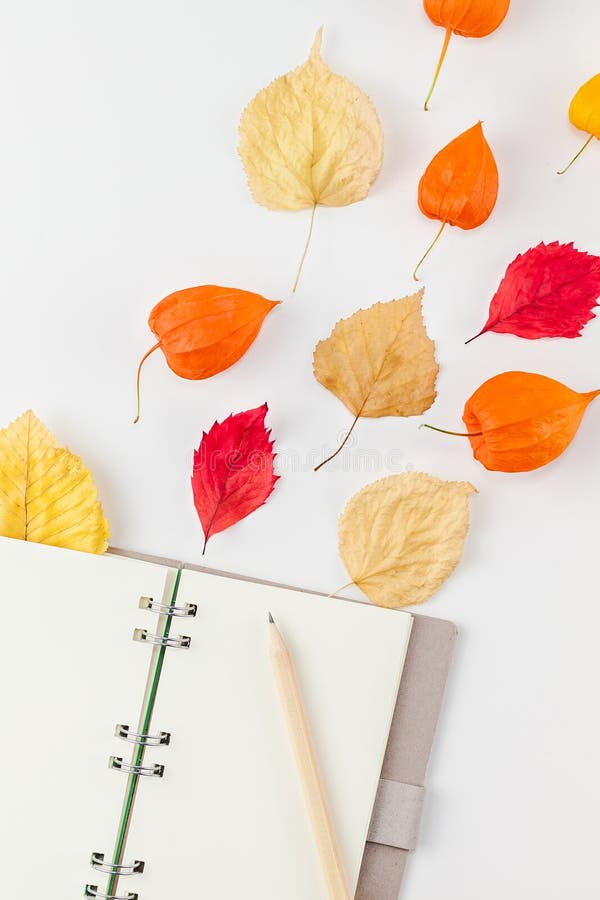 Notebook with Flying Dried Flowers and Leaves Stock Image - Image of ...