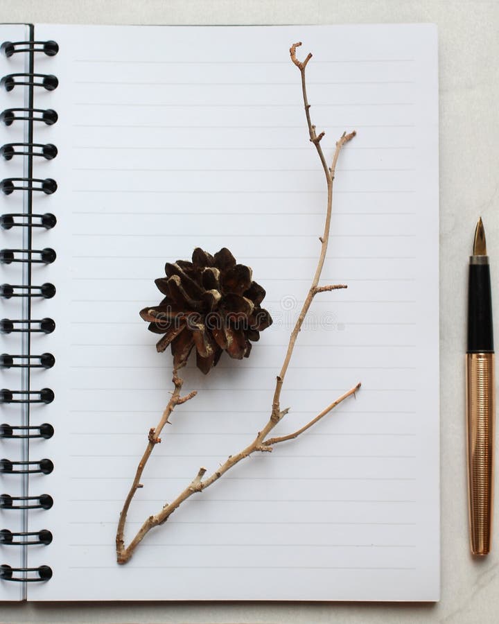 Notebook, Gold Pen on the Desk, Dry Cones and Branches Decorated Table ...