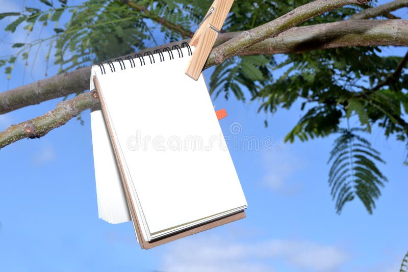 Notebook Hanging from a Tree Stock Image - Image of batter, punishment ...