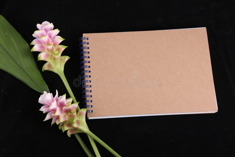 Notebook Memory with a Flower. Stock Image - Image of closed, memory ...