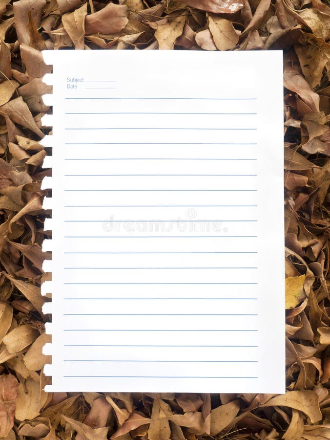 Notebook paper on leaves. stock image. Image of empty - 29771317