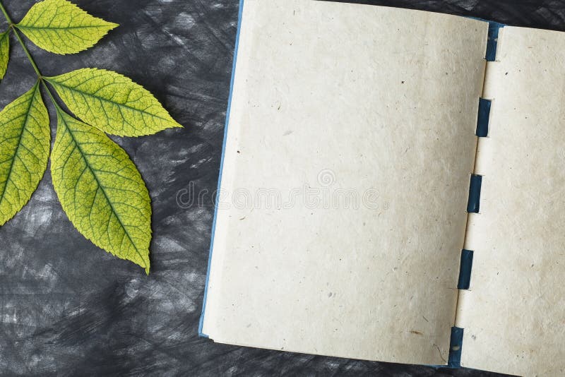 Notebook Paper with the Texture, Yellow Leaf Stock Photo - Image of ...