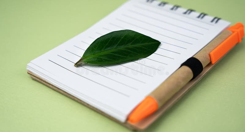 Notebook and Pen Made of Eco Friendly Materials on a Green Background ...