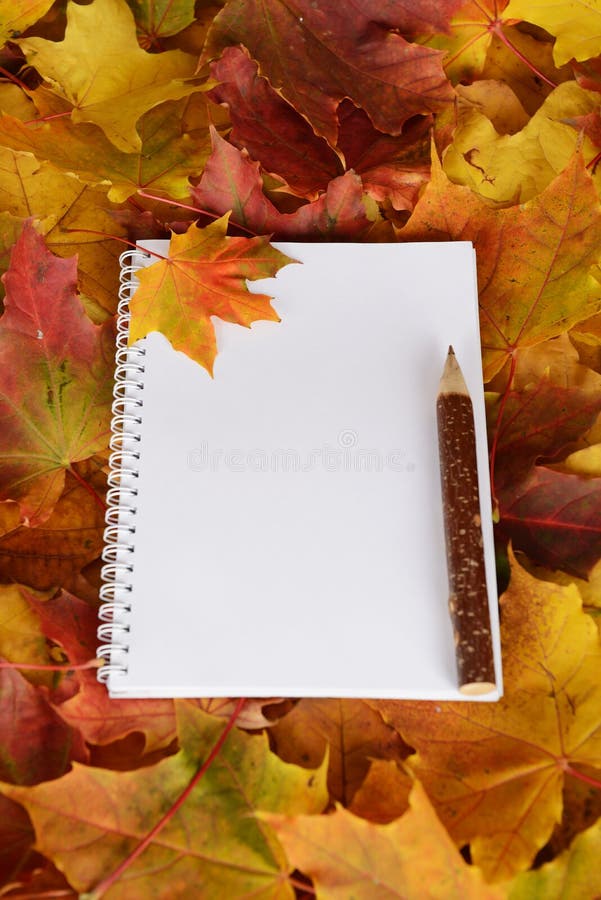 The Notebook, Pencil and Orange Yellow and Red Maple Leafs Stock Image ...