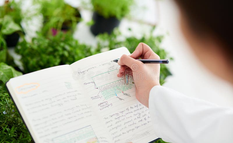 Notebook, Plants and Hands of Scientist Writing Research Info for ...