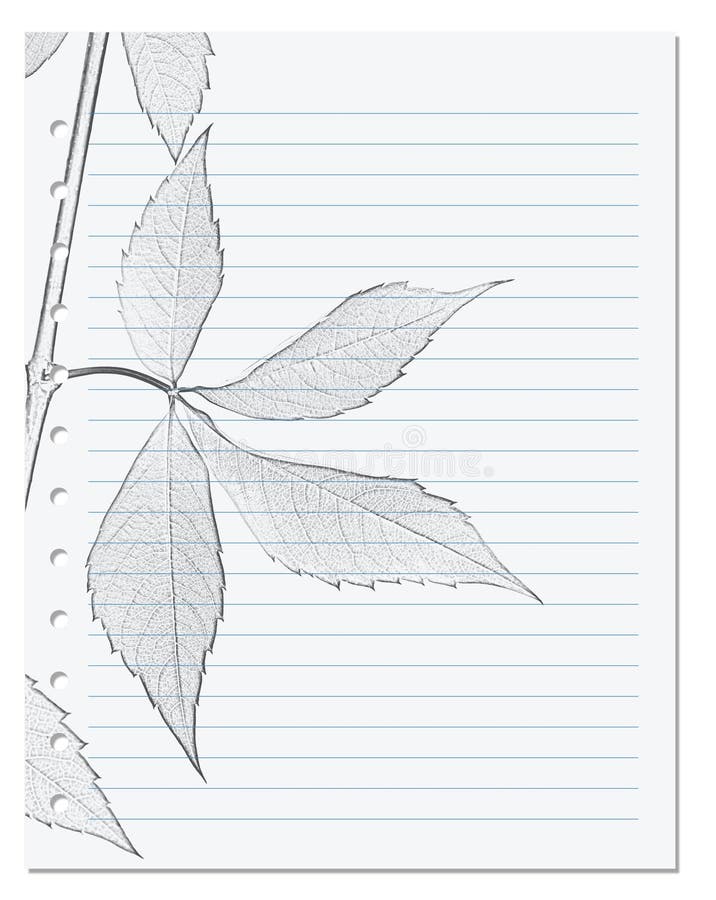 333 Notebook Leaf Ruler Stock Photos - Free & Royalty-Free Stock Photos ...