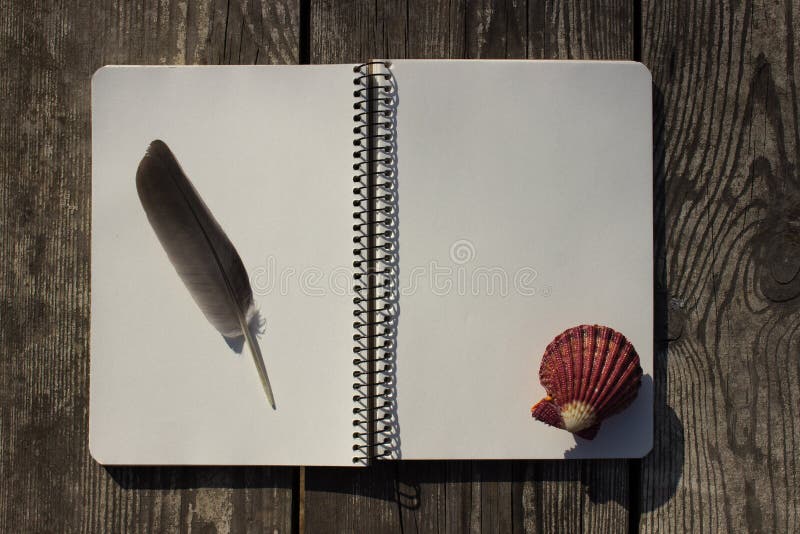 Notebook, Shells, Feather and Old Wood Stock Photo - Image of ancient ...