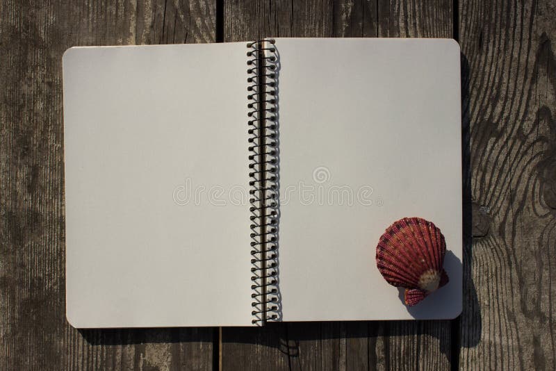 Notebook, Shells and Old Wood Stock Image - Image of surface, rustic ...