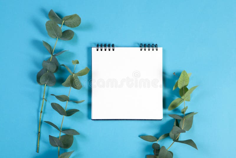 Notebook on the Springs with a Eucalyptus on a Blue Background with an ...