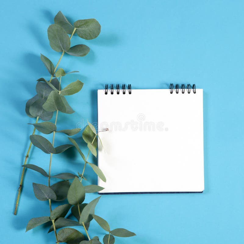 A Notebook on the Springs with a Eucalyptus on a Blue Background with ...