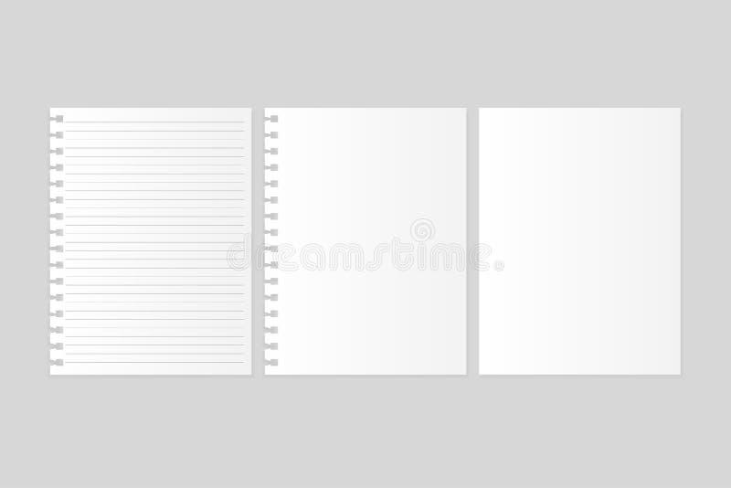 Notebook Squared Paper Sheet. Groups of Three Lines. Stock Vector ...