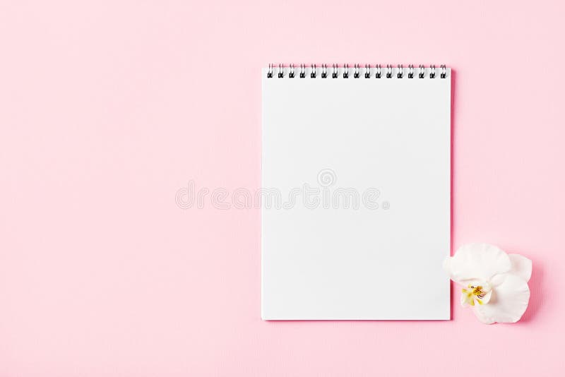 Notebook and White Orchid Flower on a Pink Background Stock Image ...