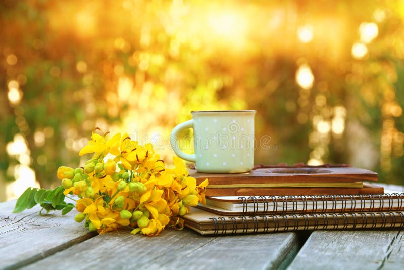 1,180,330 Field Flowers Stock Photos - Free & Royalty-Free Stock Photos ...