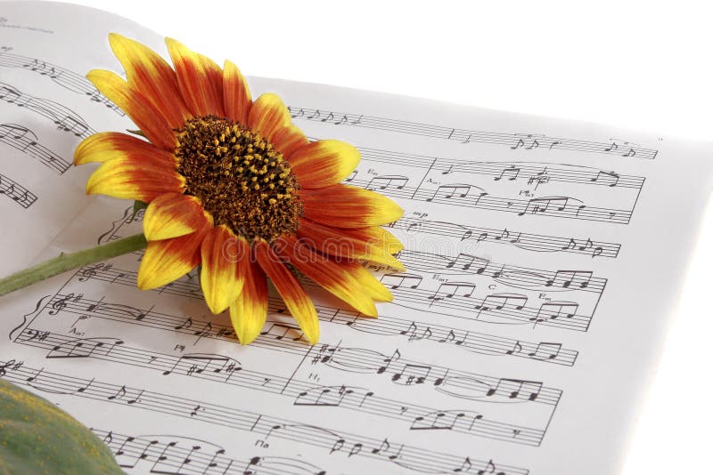 Notebooks with Notes on the Music & Flower Stock Photo - Image of ...