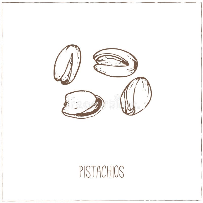 Noten Schetsen Hand-tekening Vector Illustratie - Illustration of ...