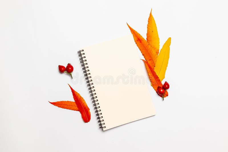 Notepad on Autumn Leaves Background Seasonal Promotions and Discounts ...