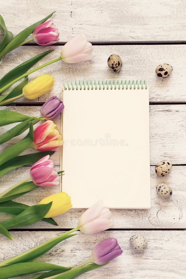 Notepad, Beautiful Tulips and Quail Eggs, Easter Concept, Tinted Stock ...