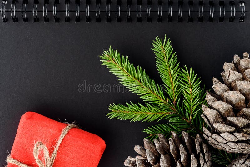 182 Notepad Cones Spruce Stock Photos - Free & Royalty-Free Stock ...