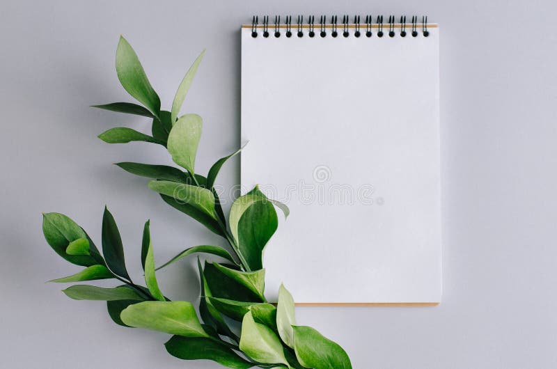 Notepad with a Green Branch with Leaves on a Gray Background Stock ...
