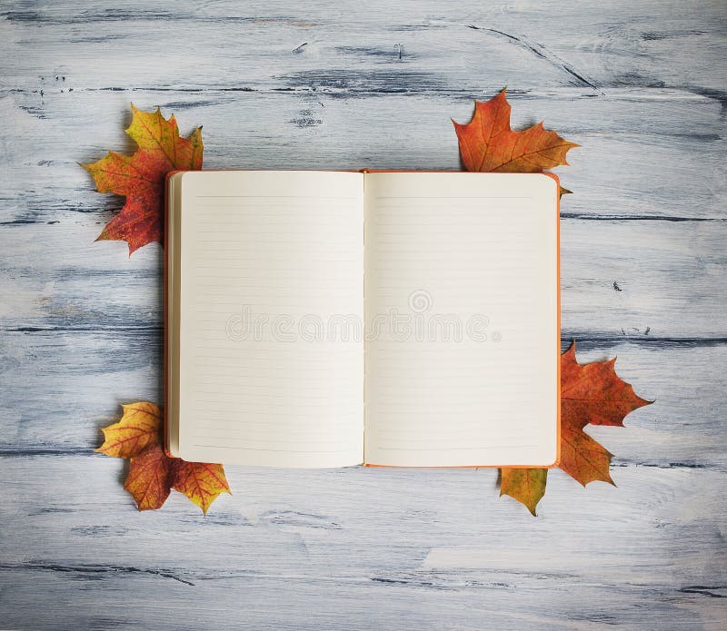 Notepad with Leaves on the Light Gray Stock Photo - Image of light ...