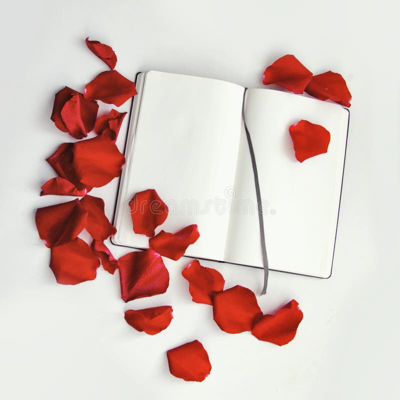 Notepad and Red Rose Petals. Toned Mock Up. Stock Image - Image of ...
