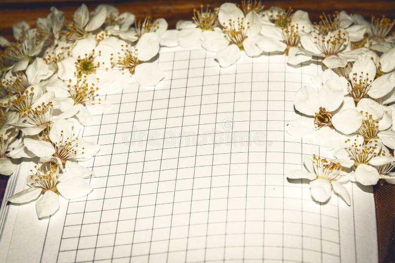 Notepad with Spring Flowers. Tree Color on Paper Stock Photo - Image of ...