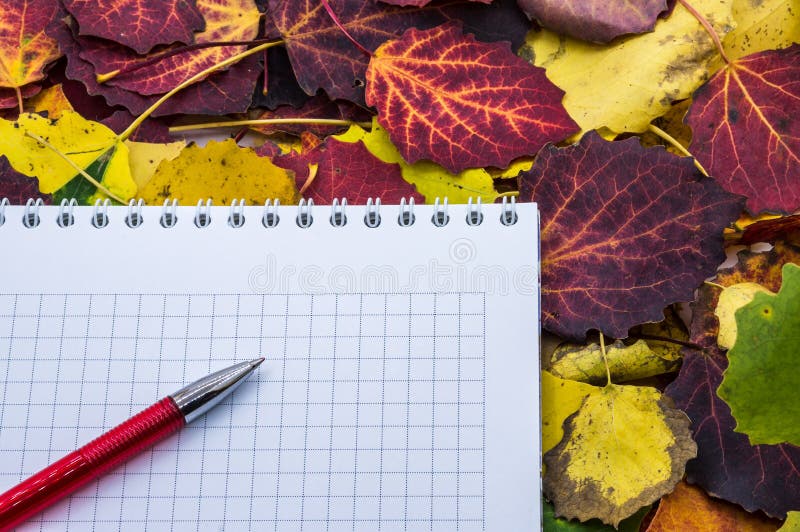 Notepad for Writing in Autumn Leaves, Red Autumn Leaves and Blank Sheet ...