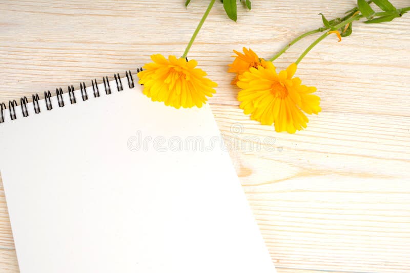 Notepad yellow stock image. Image of desktop, write, office - 16265841