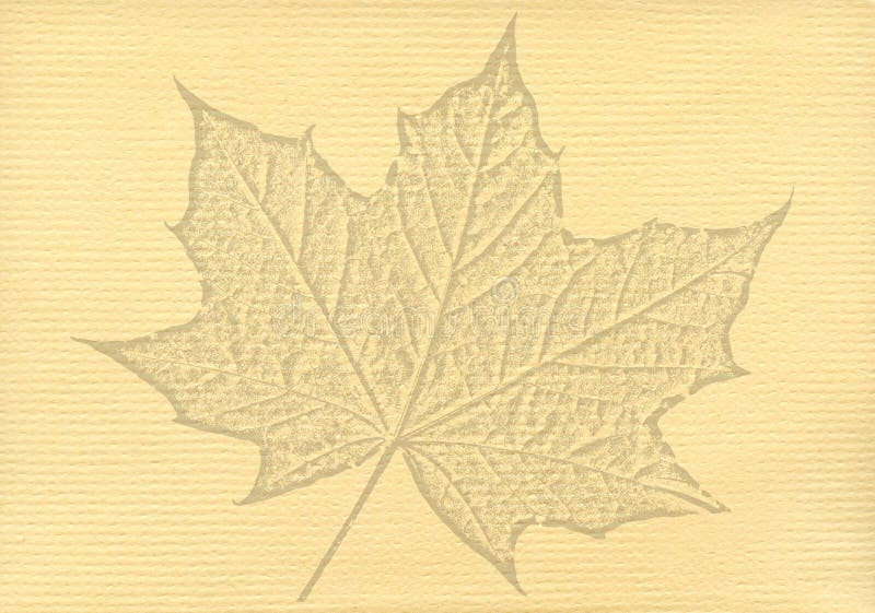 Notepaper Document with a Maple Leaf Watermark Stock Image - Image of ...