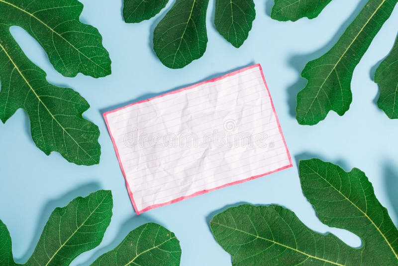 Notepaper Placed Above Plain Table between Green Leaves. Leafage ...