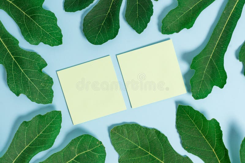 Notepaper Placed Above Plain Table between Green Leaves. Leafage ...