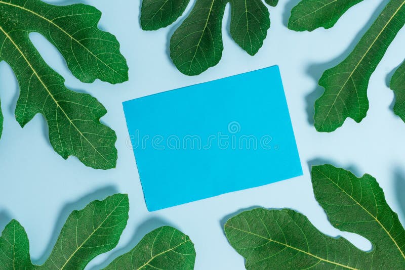 Notepaper Placed Above Plain Table between Green Leaves. Leafage ...