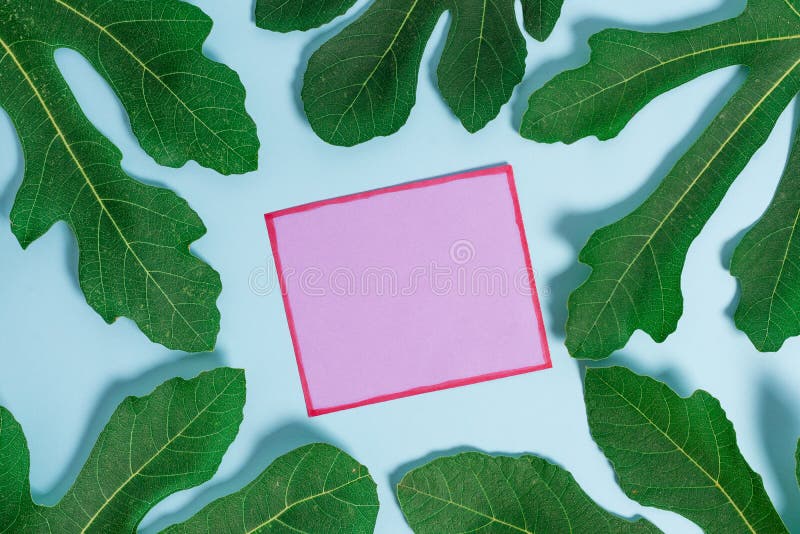 Notepaper Placed Above Plain Table between Green Leaves. Leafage ...