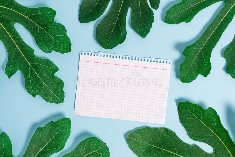 Notepaper Placed Above Plain Table between Green Leaves. Leafage ...