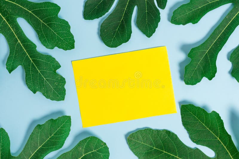 Notepaper Placed Above Plain Table between Green Leaves. Leafage ...
