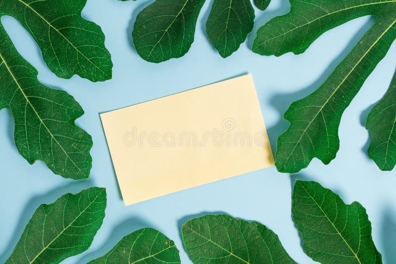 Notepaper Placed Above Classic Wooden Table between Green Leaves ...