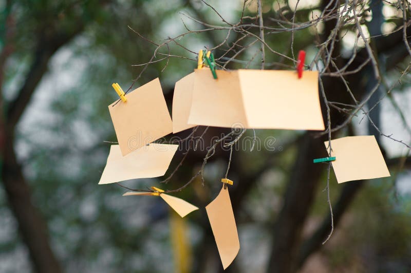 Notes on a Tree Branch, Orange Paper is Hanging on the Tree on the ...