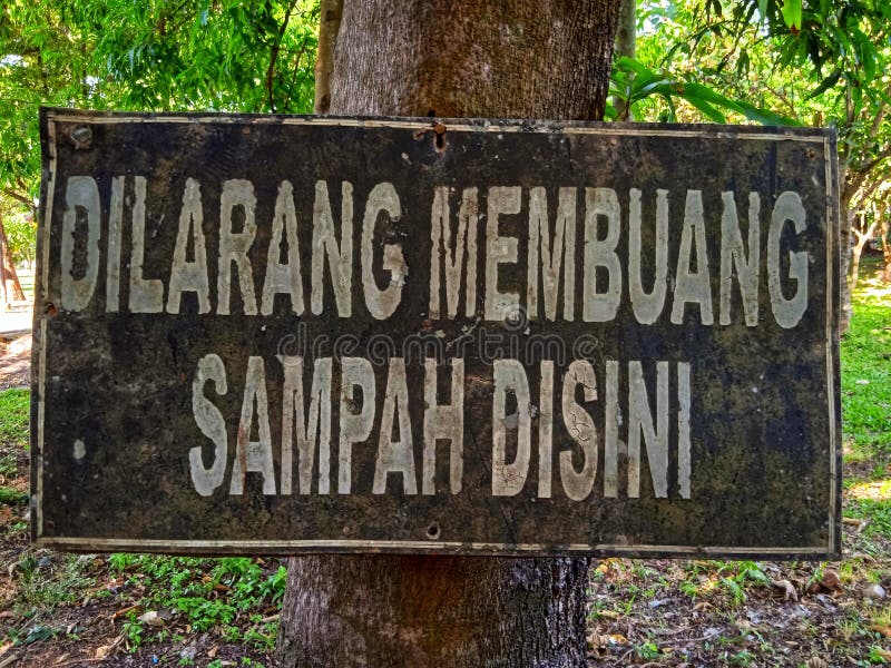 Notice board in city park stock photo. Image of bulletin - 251084814