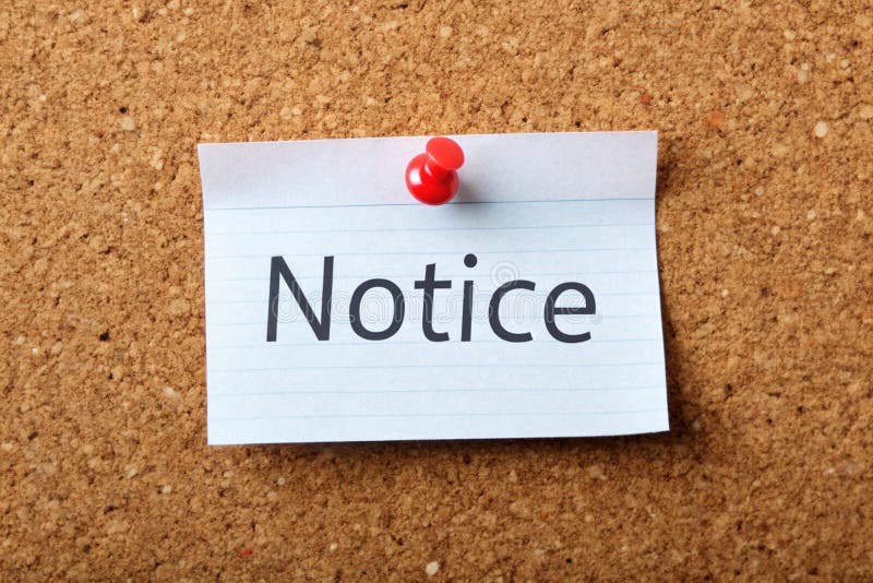Notice Paper Paper on a Cork Notice Board Stock Illustration ...