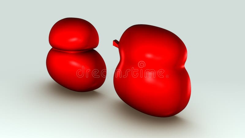 Notochord formation stock illustration. Illustration of notochordal ...